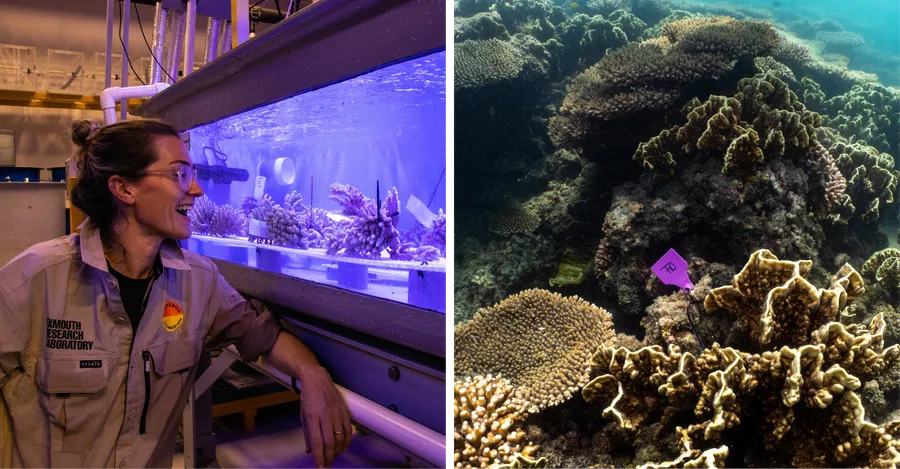 Why Ningaloo Reef and Exmouth Gulf must be protected together.