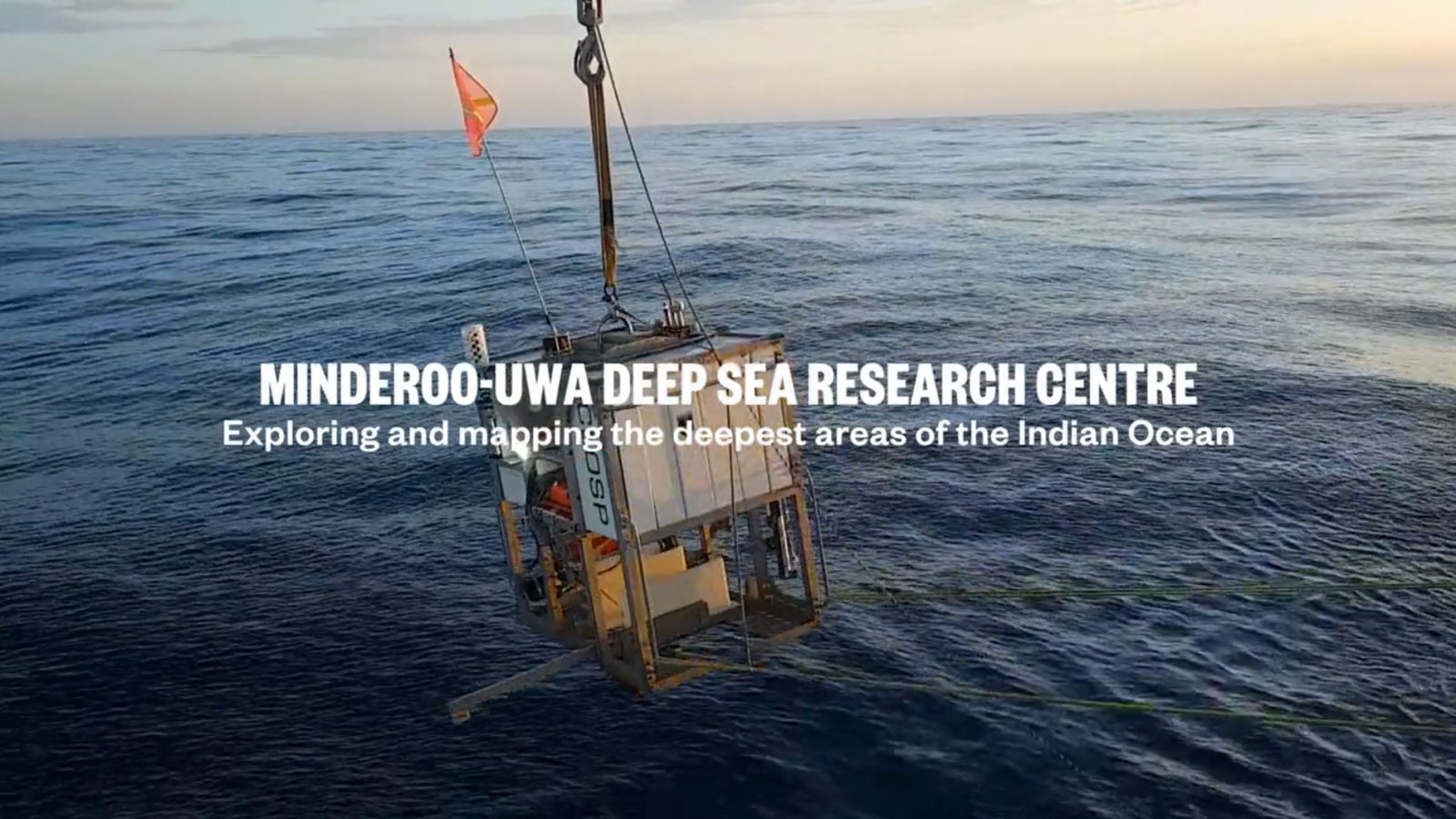 The Minderoo Foundation