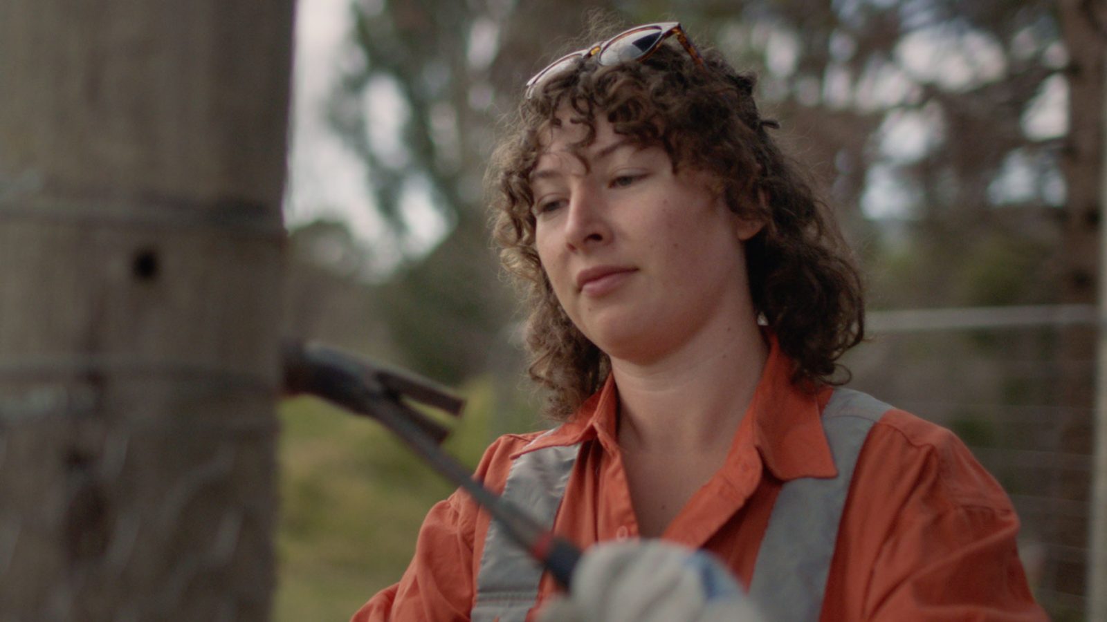 The Minderoo Foundation