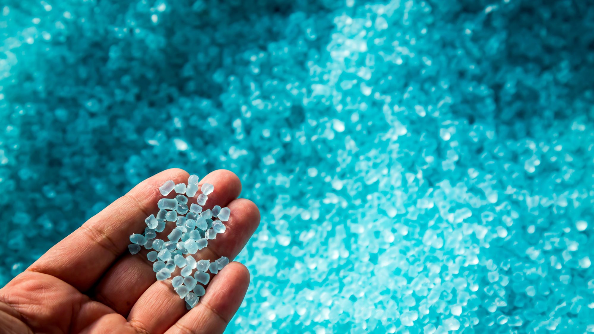 The Minderoo Foundation