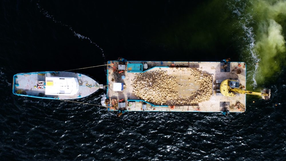 The Minderoo Foundation