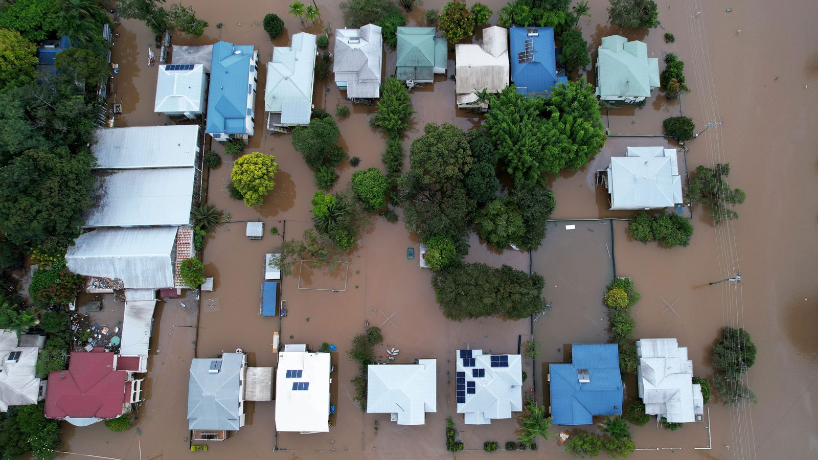 The Minderoo Foundation