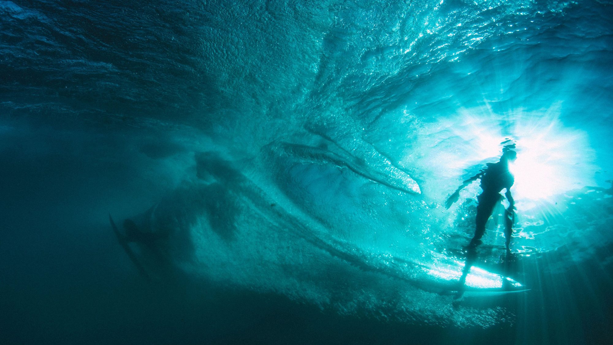 The Minderoo Foundation