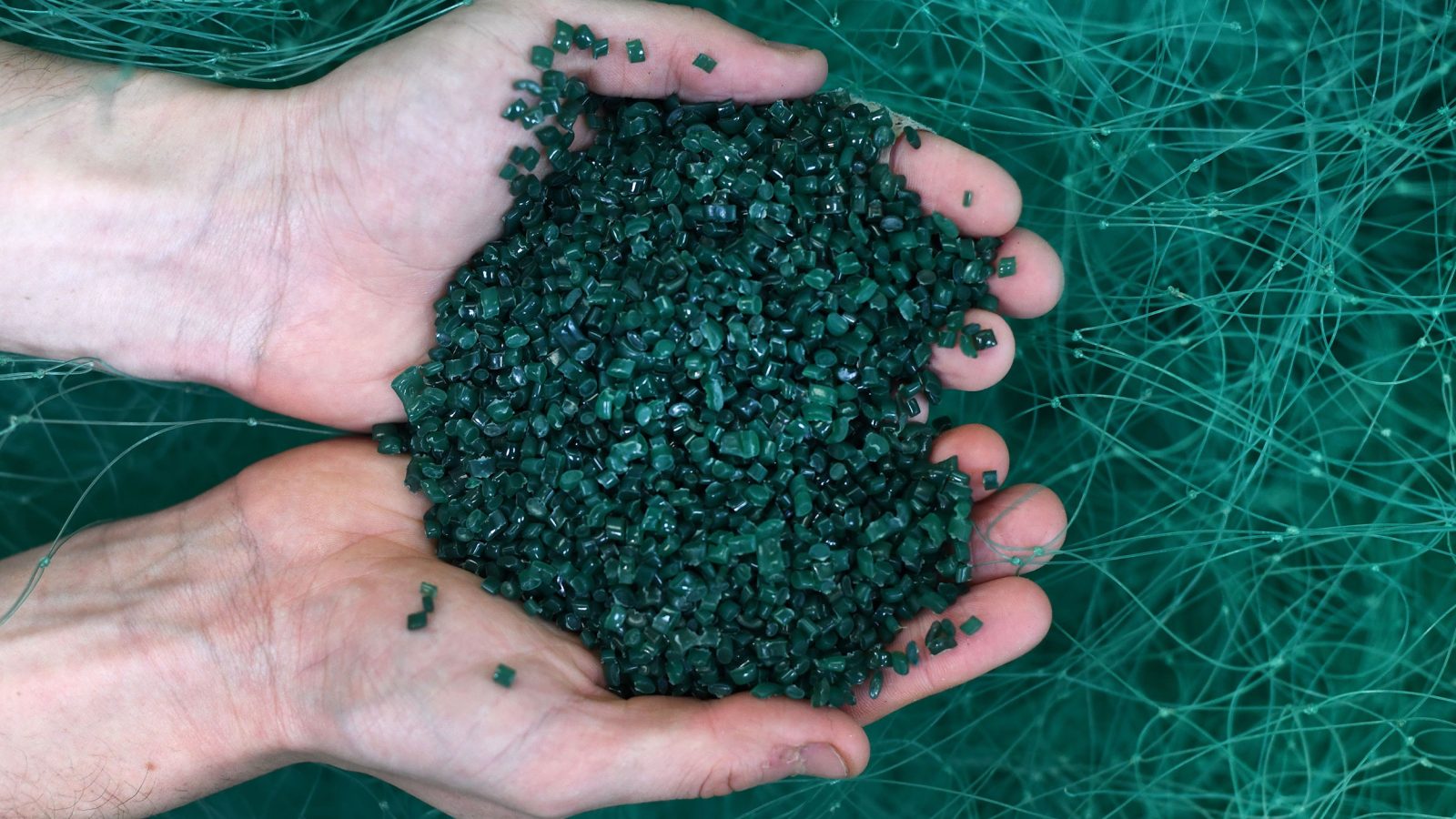 The Minderoo Foundation