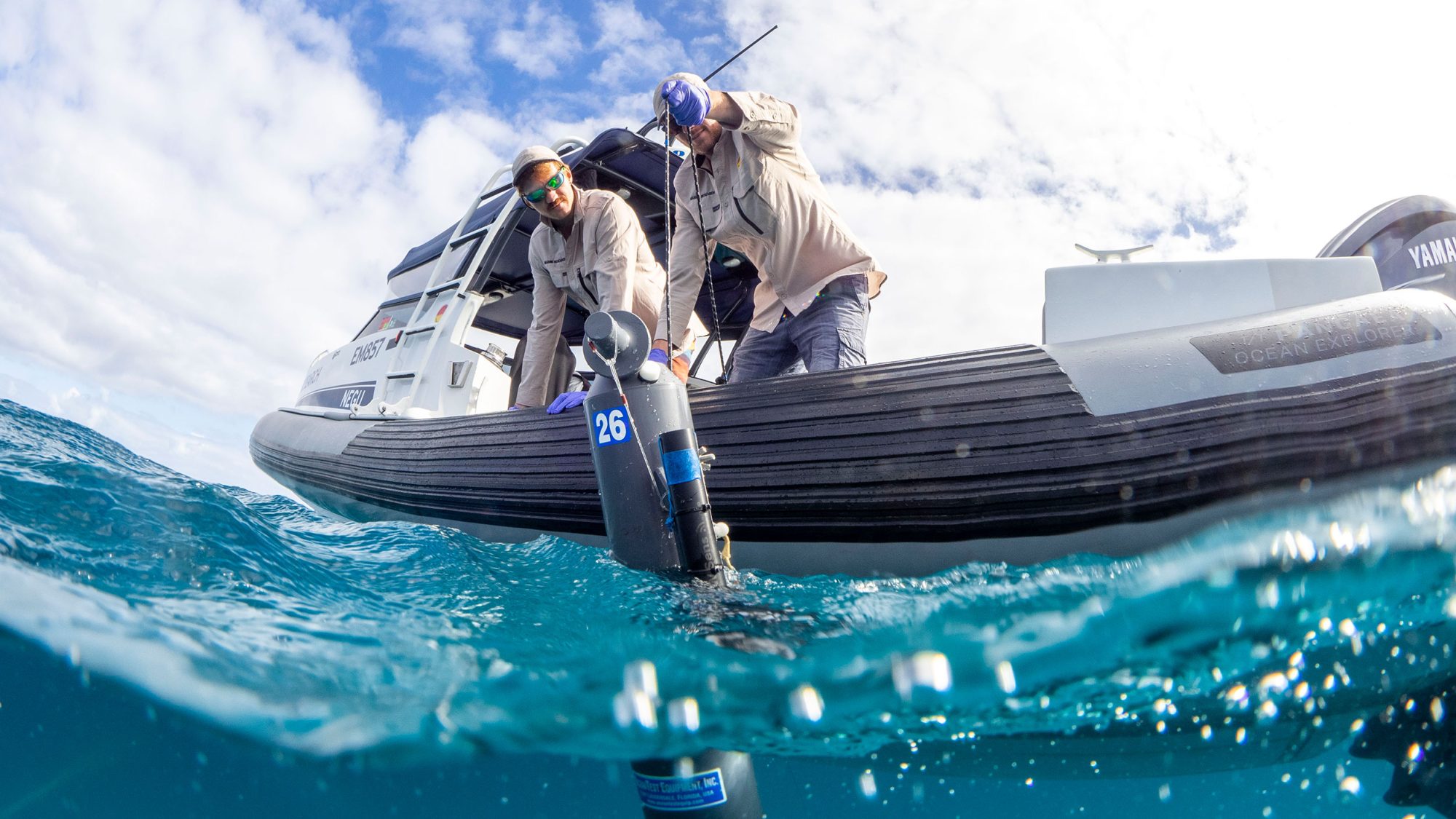 The Minderoo Foundation