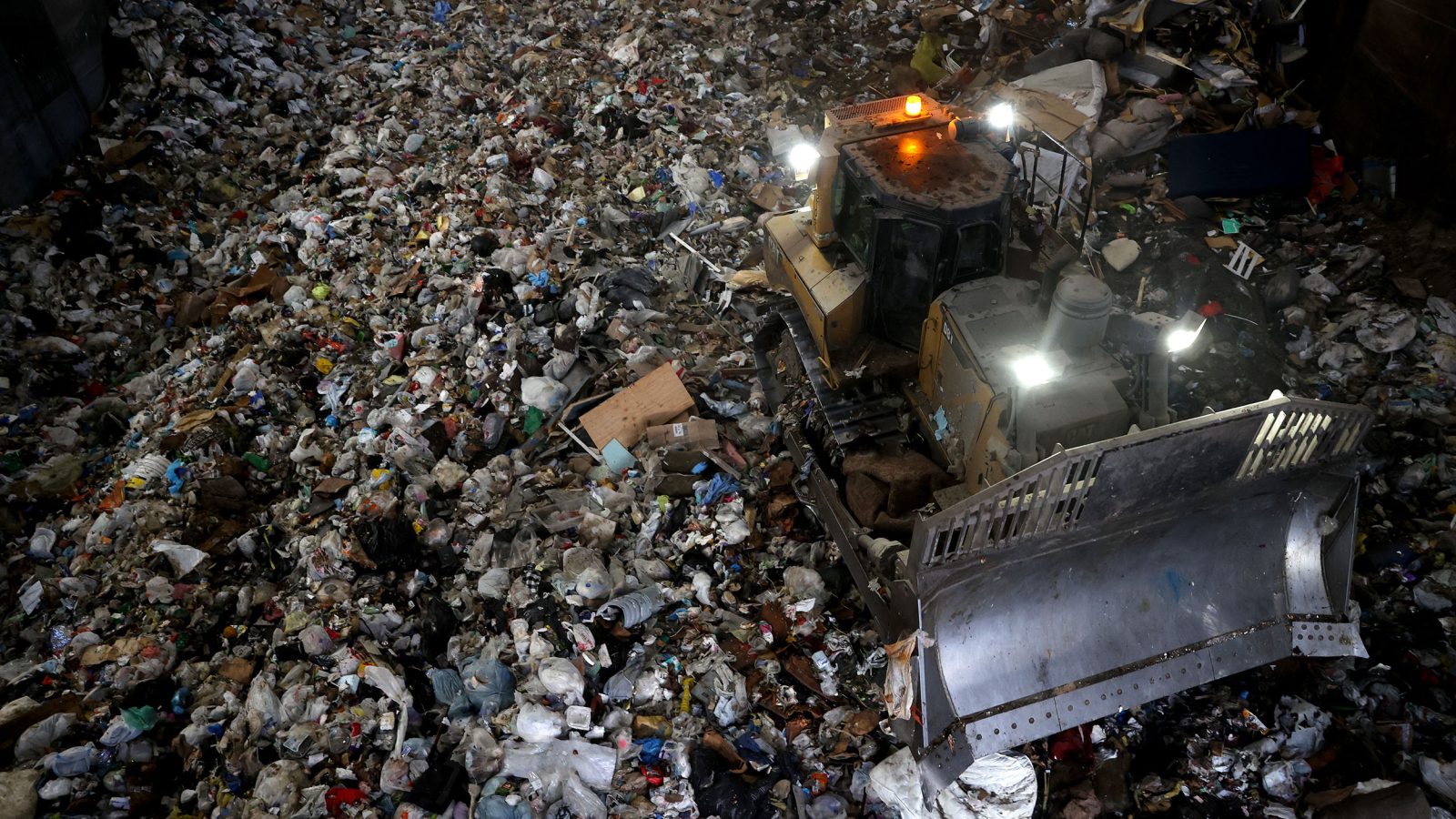 The Minderoo Foundation