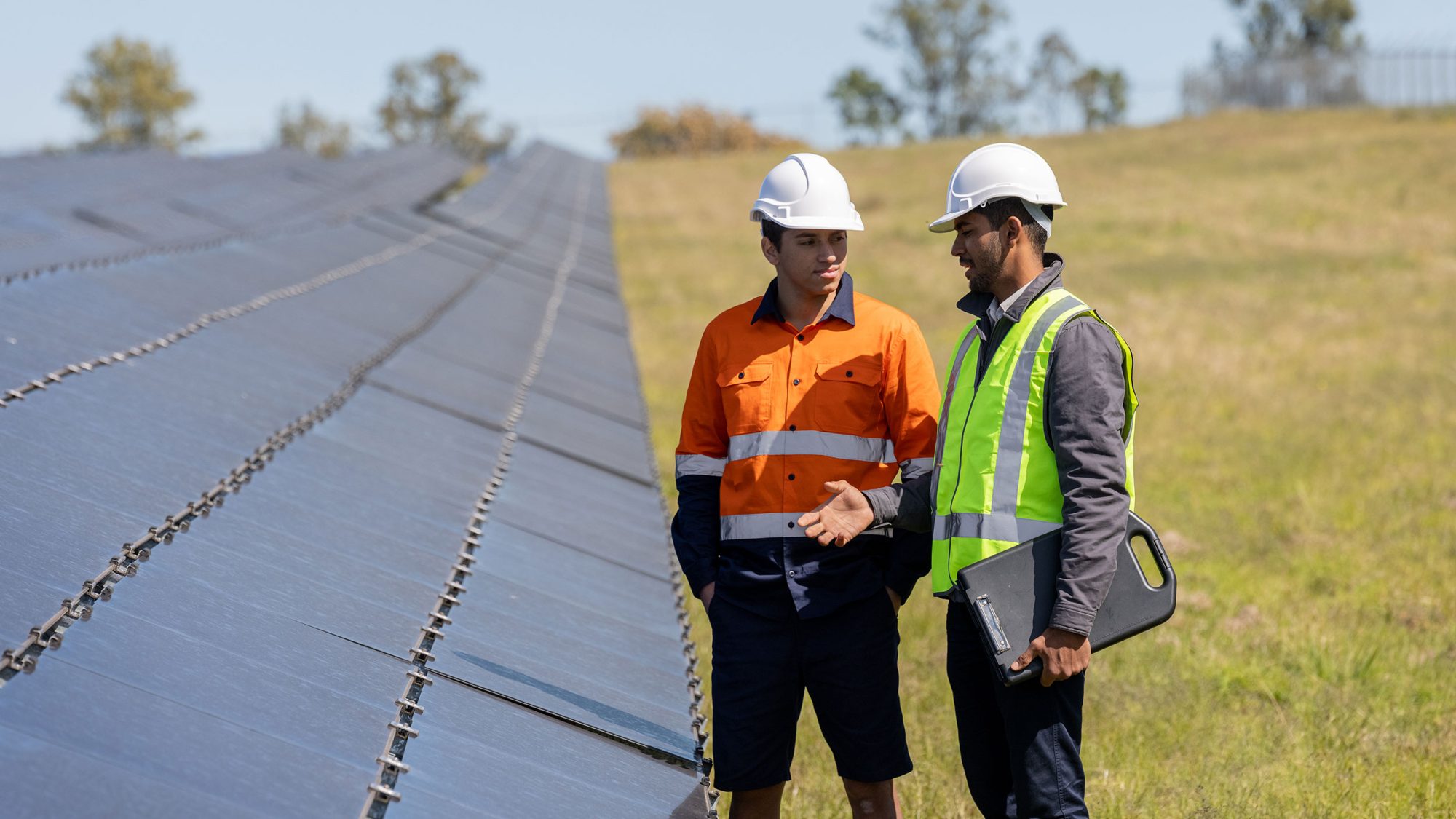 The Minderoo Foundation