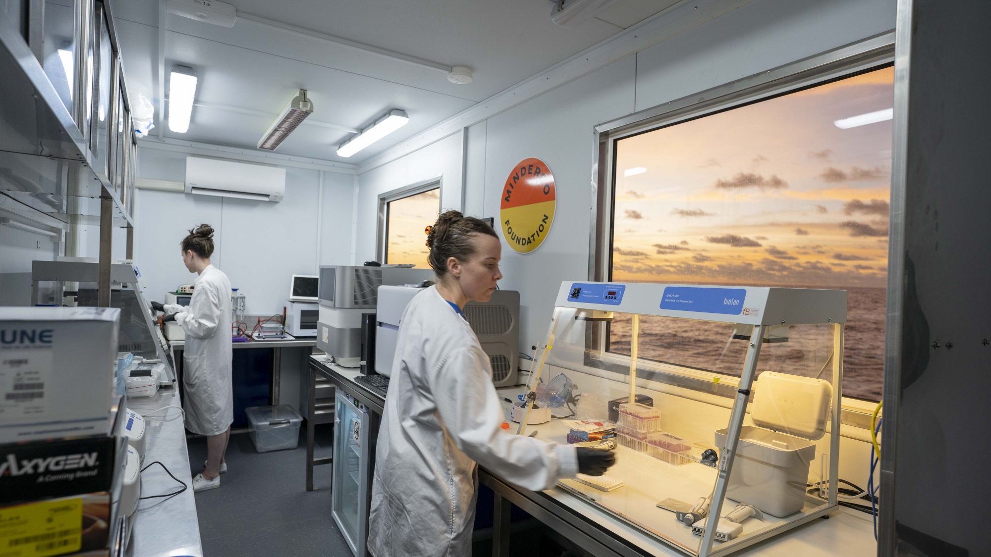 The Minderoo Foundation