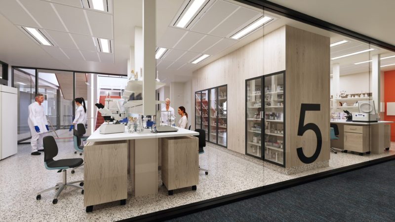 The Minderoo Foundation