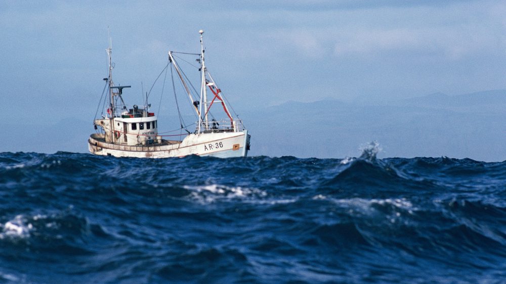 The Minderoo Foundation