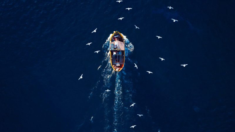 The Minderoo Foundation