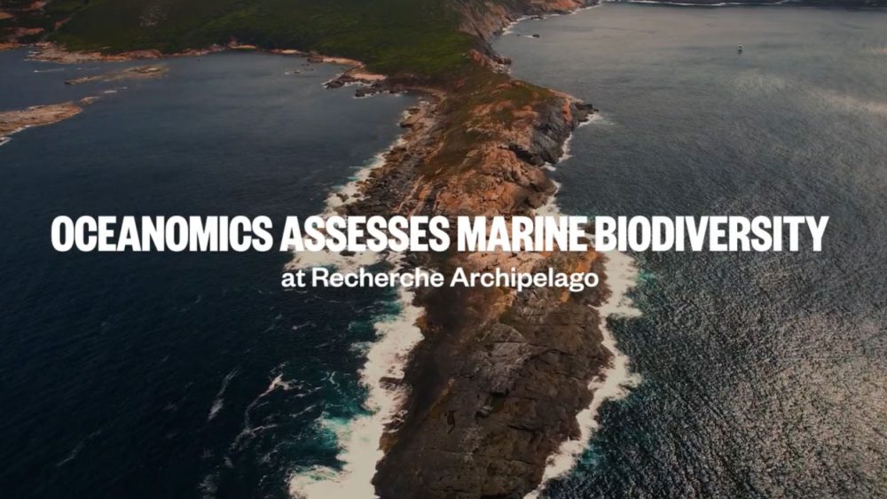 The Minderoo Foundation