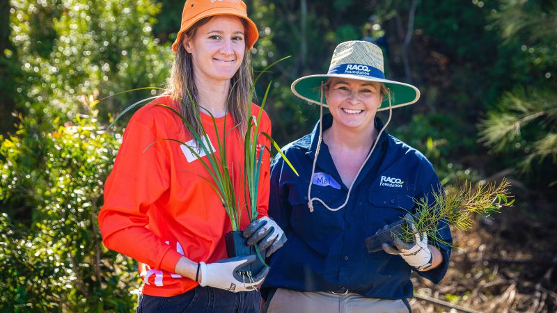 The Minderoo Foundation